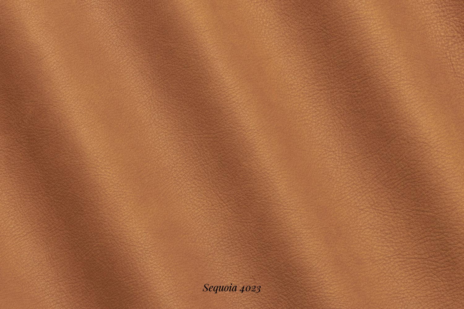 Sequoia Archives - Borzalino