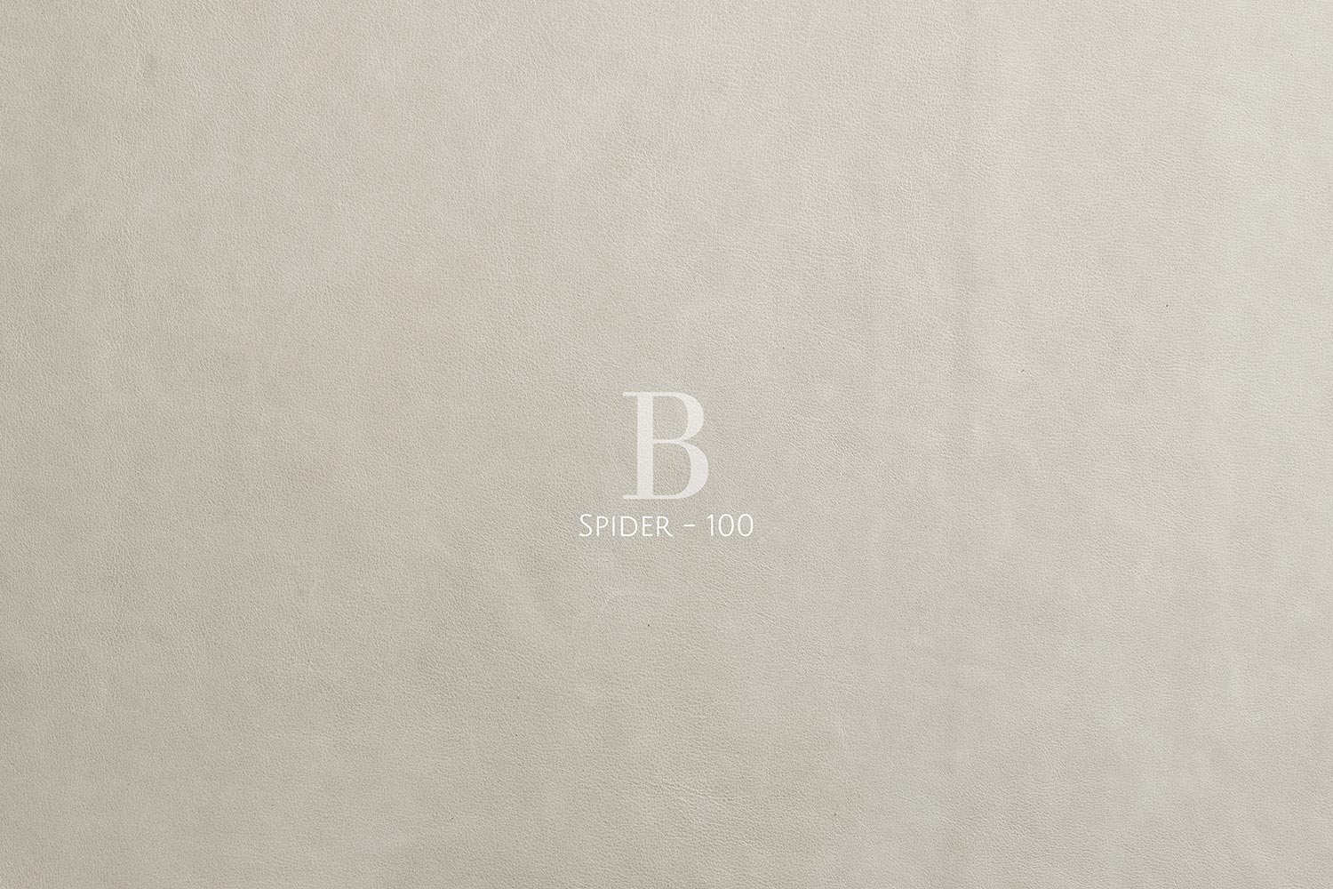 SPIDER Archives - Borzalino