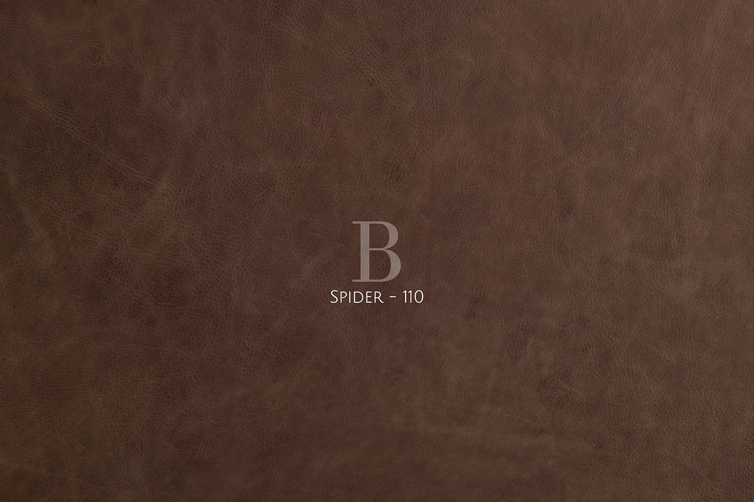 SPIDER Archives - Borzalino