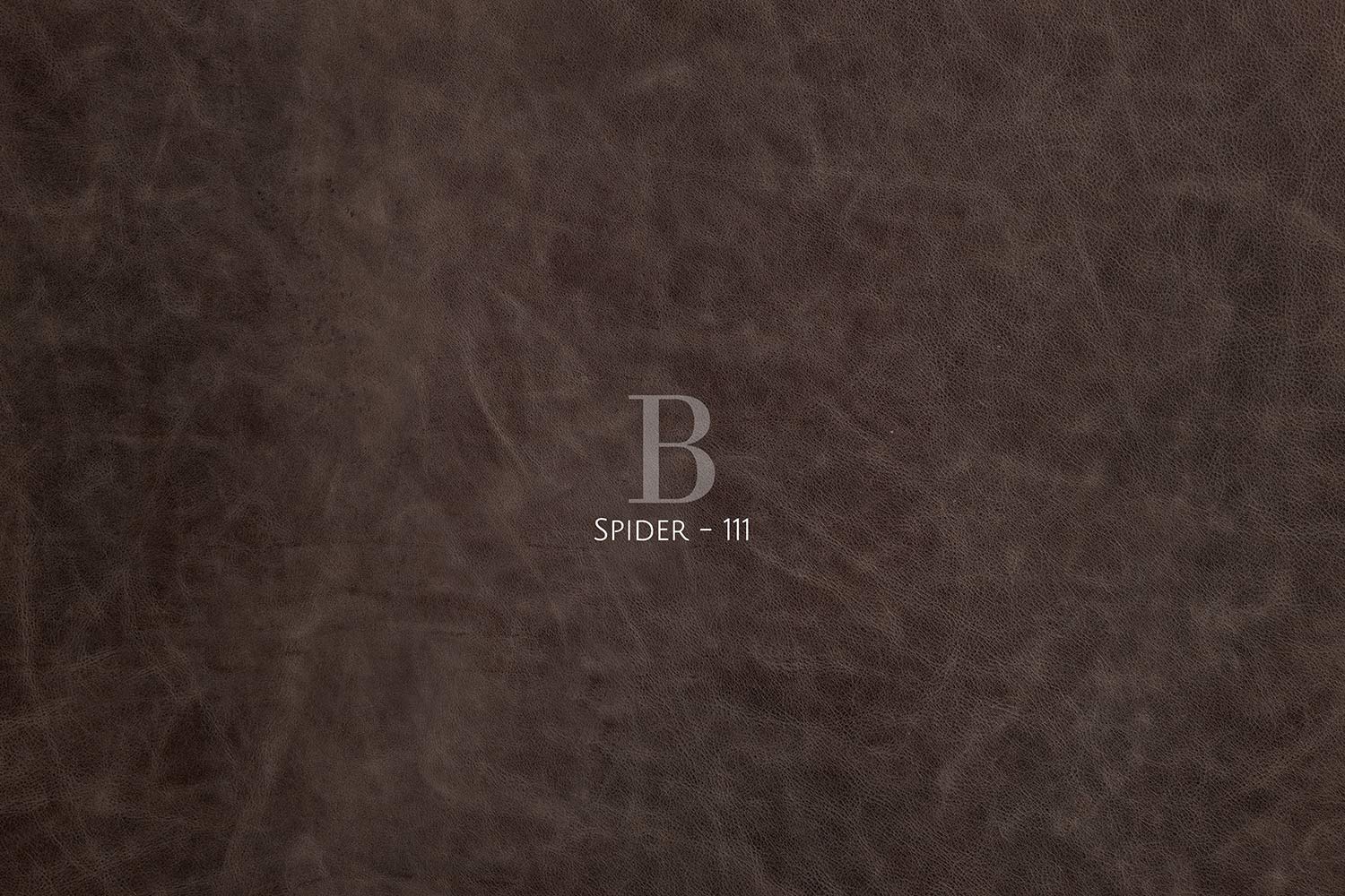 SPIDER Archives - Borzalino