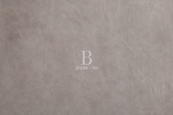 SPIDER Archives - Borzalino