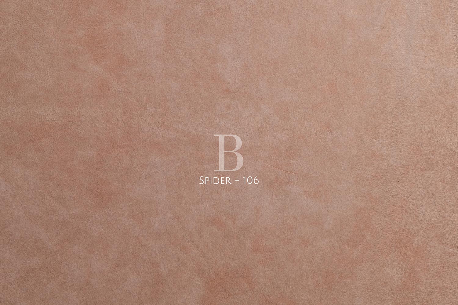 SPIDER Archives - Borzalino