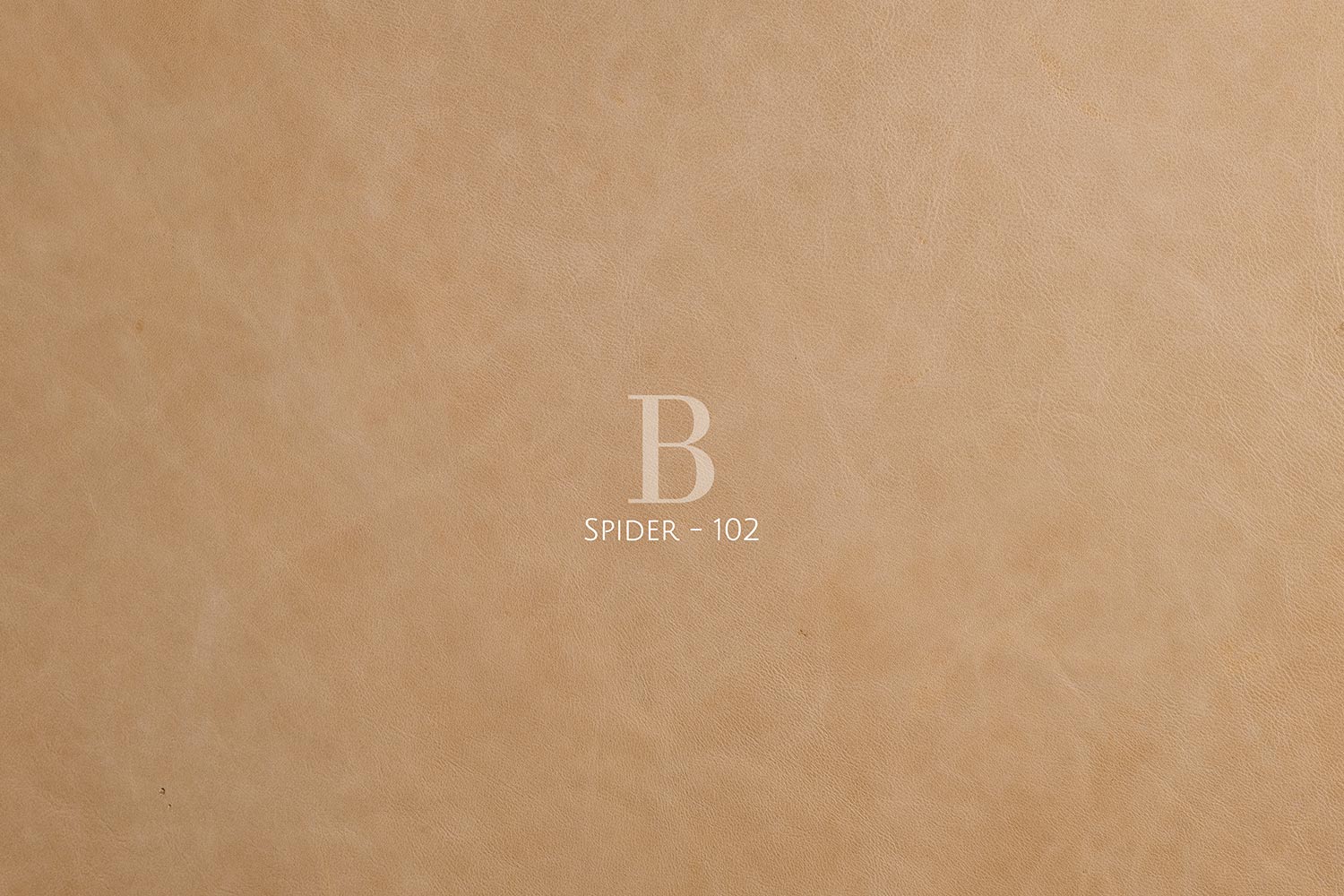 SPIDER Archives - Borzalino